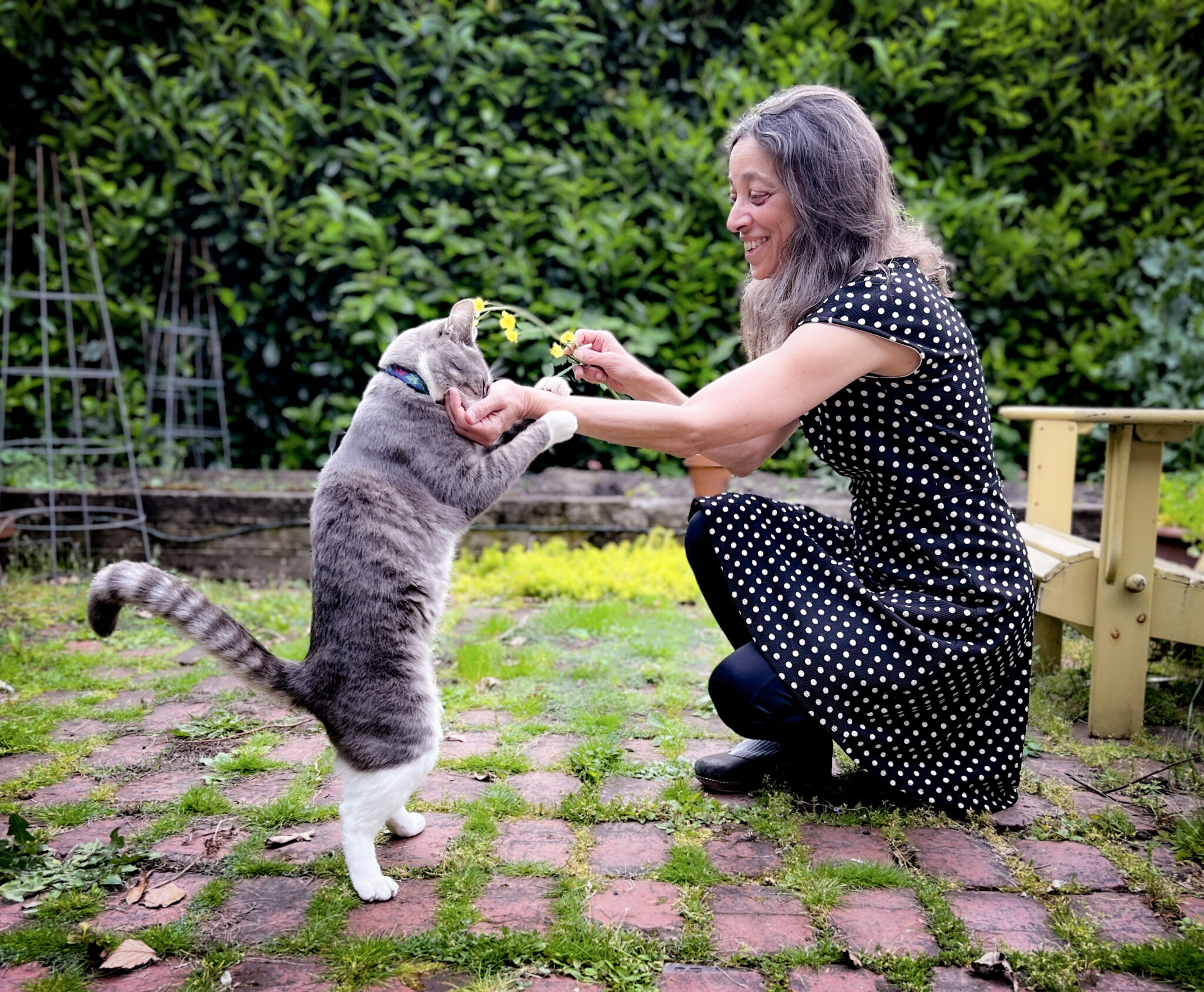 Episode 68: Edtech Innovation with Stephanie Argy of ISTE - Hybrid Pub ...